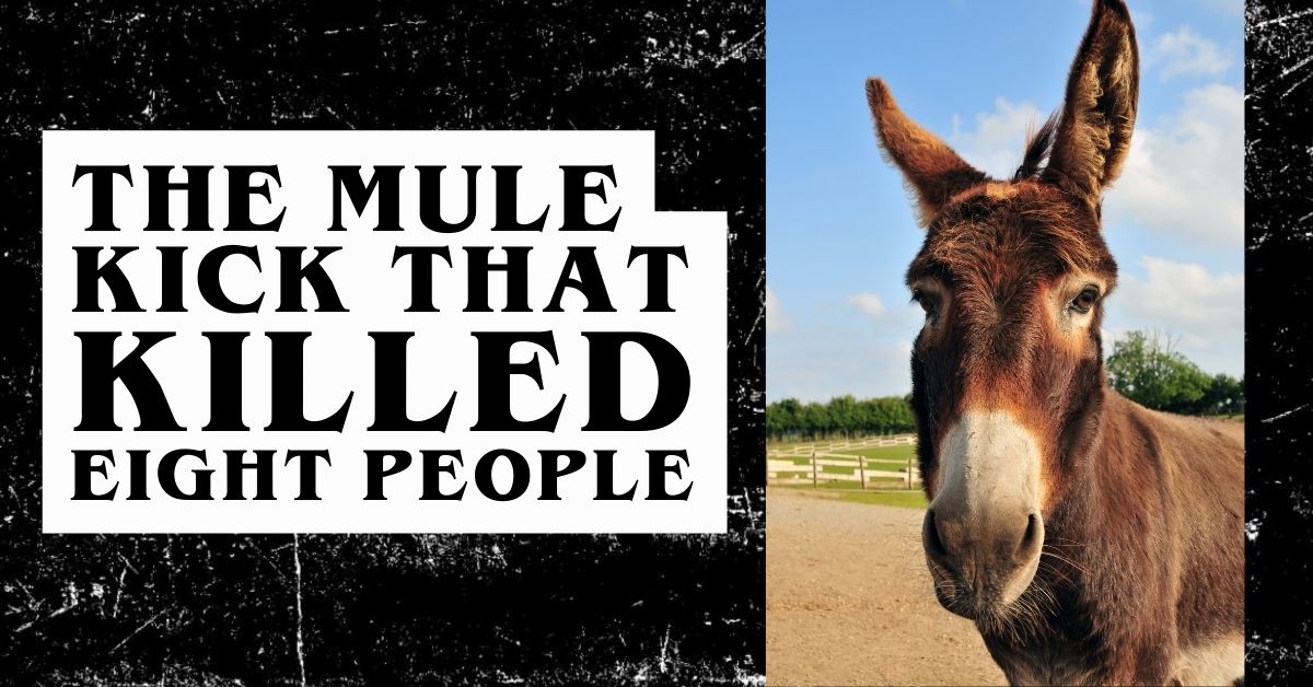 The Mule Kick that killed Eight People – Deep Lore