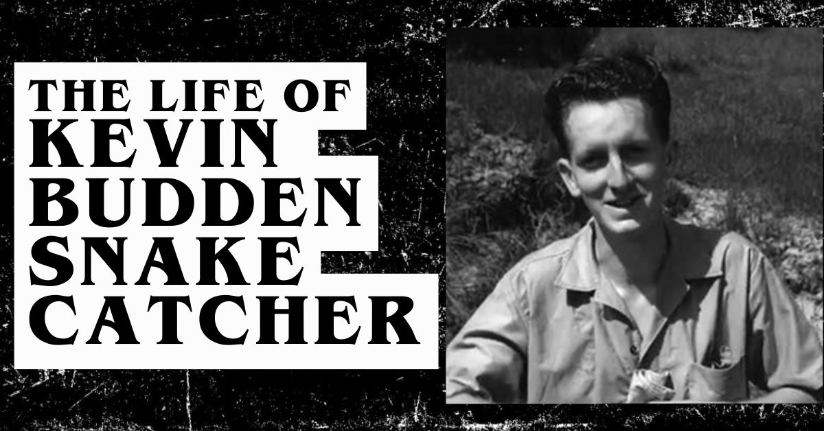 The Life and Death of Kevin Budden: The First Taipan Hunter – Deep Lore